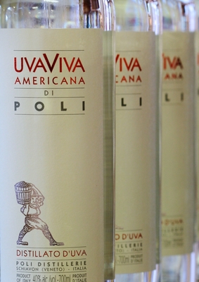 UvaViva Rossa Poli - Grape Brandy | Poli Grappa